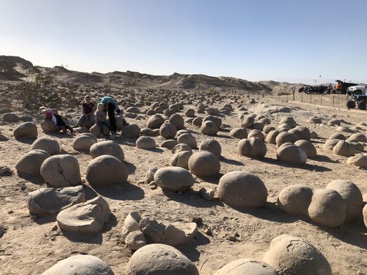 PUMPKIN PATCH - Updated December 2024 - 27 Photos - Ocotillo Wells, California - Local Flavor - Yelp