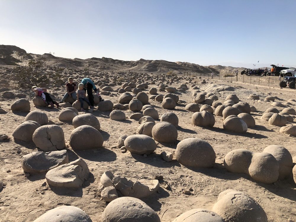 PUMPKIN PATCH - 26 Photos - Local Flavor - Ocotillo Wells, CA - Yelp