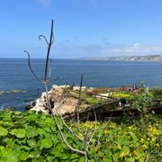 COAST WALK TRAIL - 95 Photos & 15 Reviews - Coast Walk Trl, San Diego ...