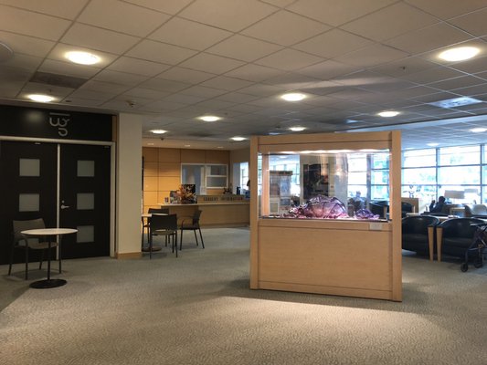 SWEDISH FIRST HILL CAMPUS - Updated January 2026 - 16 Photos & 32 ...