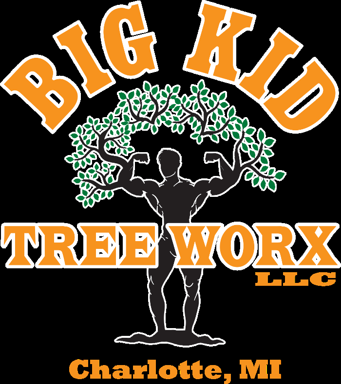 BIG KID TREE WORX - Updated June 2025 - 340 High St, Charlotte ...