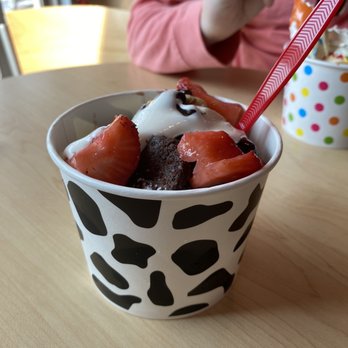 FROYOZ - Updated August 2025 - 60 Photos & 55 Reviews - 2607 US-17 Bus ...