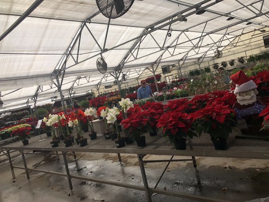 BROOKWOOD COMMUNITY - 84 Photos & 22 Reviews - 1752 Fm 1489 Rd ...