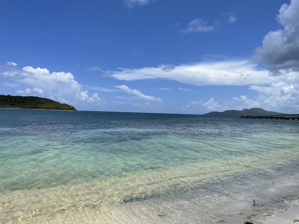 ESPERANZA BEACH - Updated January 2025 - 19 Photos - Esperanza, Puerto ...