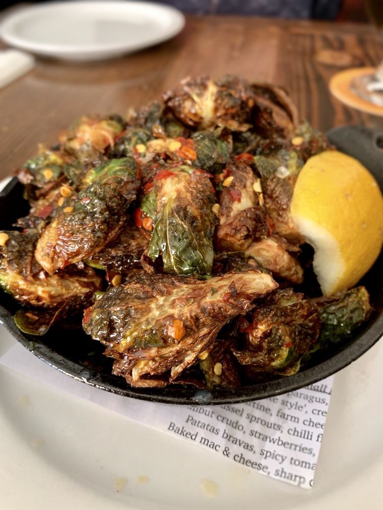 THE CRAFTY FOX ALE HOUSE - 395 Photos & 267 Reviews - 1700 Mission St ...