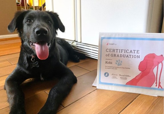 HUMANE SOCIETY OF CENTRAL OREGON - Updated May 2025 - 13 Photos & 19 ...