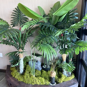 DRAGON BUFFET - Updated December 2025 - 117 Photos & 49 Reviews - 8230 ...