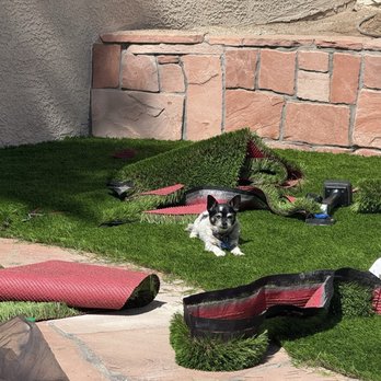 BIG BULLY TURF - Updated August 2025 - 392 Photos & 139 Reviews - 921 ...