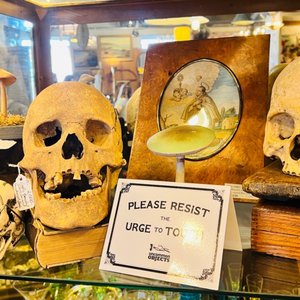 UNCOMMON OBJECTS - 781 Photos & 385 Reviews - 1602 Fortview, Austin, TX ...