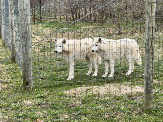 SPEEDWELL FORGE BED AND BREAKFAST - Updated October 2025 - 20 Photos ...