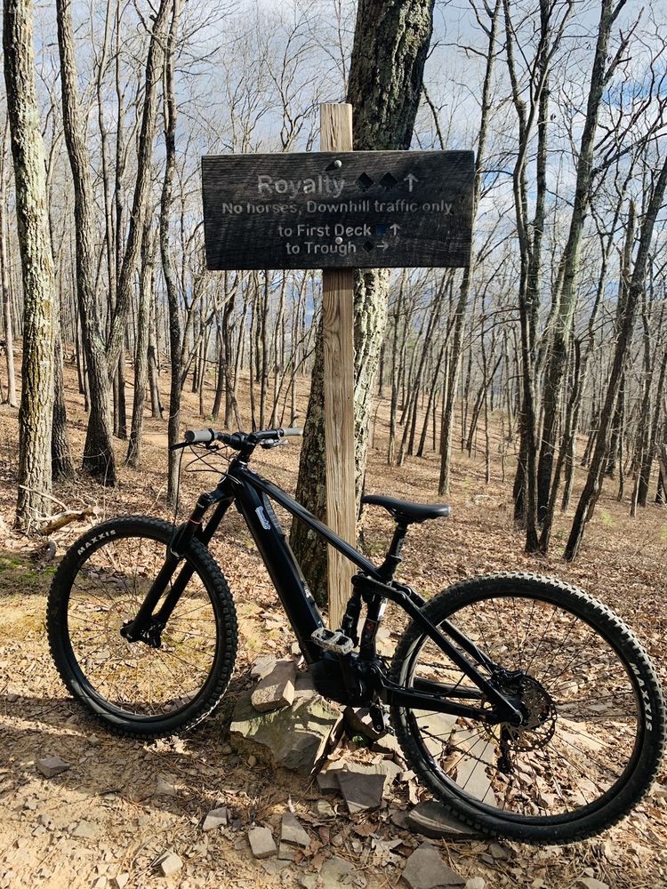 DOWNSHIFT - Updated November 2024 - 21 Photos & 21 Reviews - 210 4th St ...