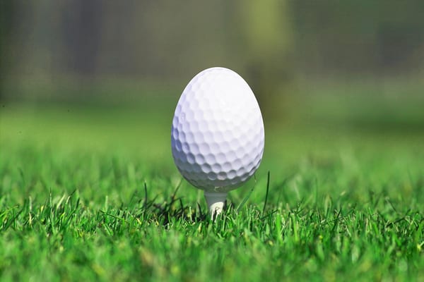 BIRCH TREE GOLF COURSE - Updated October 2025 - 755 W Michigan St, New ...