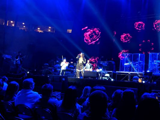 CURE INSURANCE ARENA - 68 Photos & 44 Reviews - 81 Hamilton Ave ...