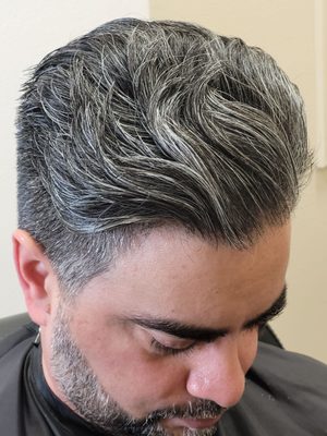 ALPHA KINGS FADE & SHAVE BARBERSHOP - Updated January 2026 - 10 Photos ...