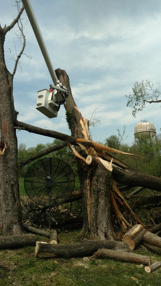 CHRIS’ TREE SERVICE - Updated December 2025 - Hughesville, Maryland ...