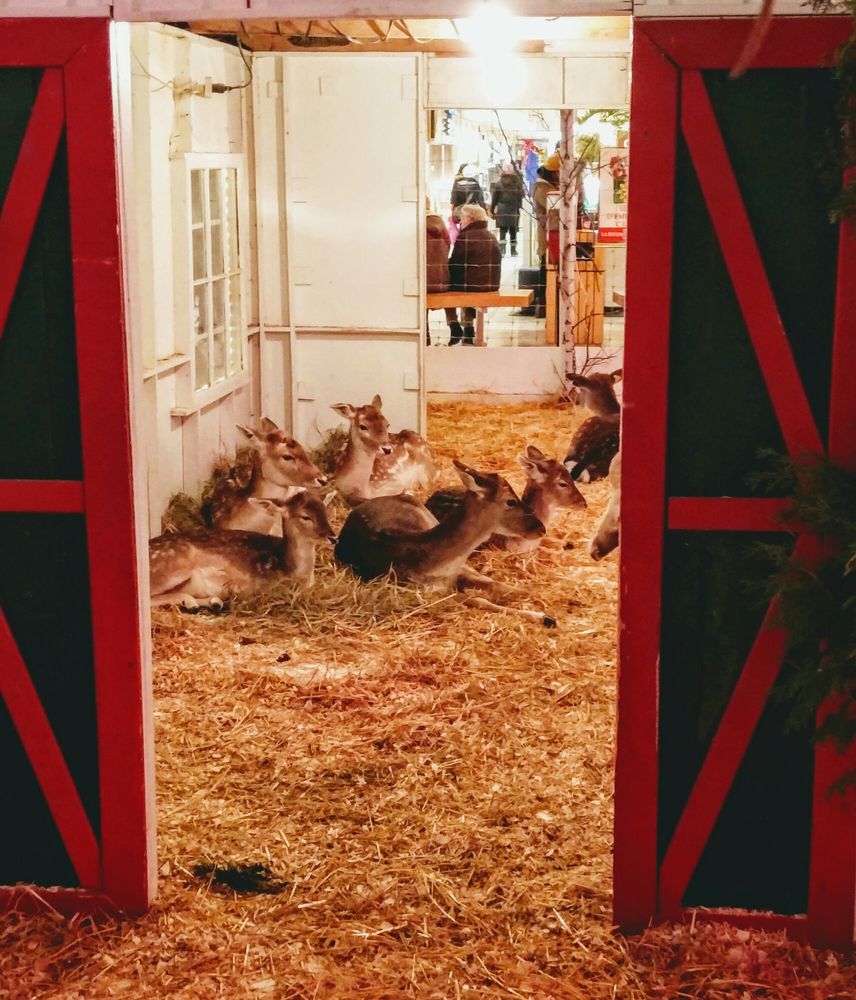 PLACE VERSAILLES - Updated November 2024 - 38 Photos & 11 Reviews ...