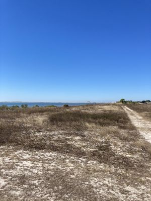 ISLE DAUPHINE GOLF CLUB - Updated October 2025 - 100 Orleans Dr ...