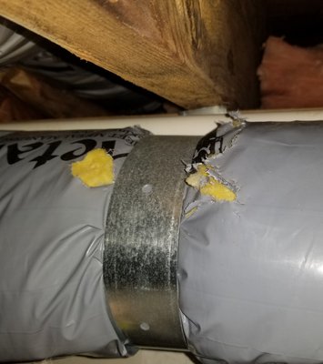 MARINA PEST CONTROL - Updated January 2026 - 22 Photos & 109 Reviews ...