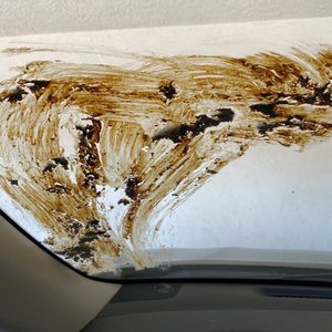 CARMELITOS HOUSING PROJECT - Updated July 2024 - 13 Photos - 1000 E Via ...