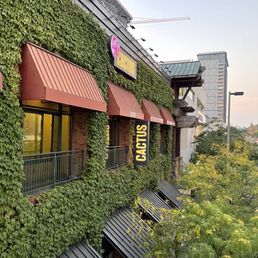 CACTUS RESTAURANTS - Updated December 2025 - 1444 Photos & 1263 Reviews ...