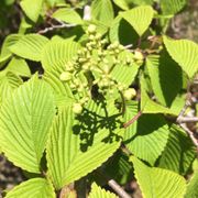 MYTOI JAPANESE GARDENS - 41 Dike Rd, Edgartown, Massachusetts ...