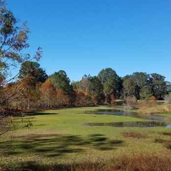 PEDRICK POND PARK - Updated December 2025 - 59 Photos - 1583 Pedrick Rd ...