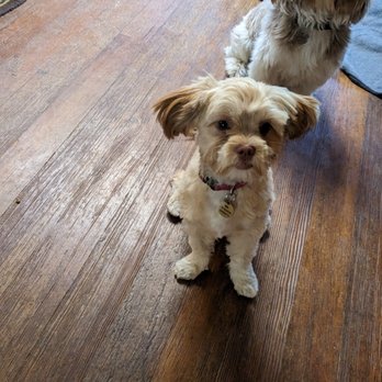 PETSMART - Updated May 2025 - 59 Photos & 135 Reviews - 575 Rohnert ...