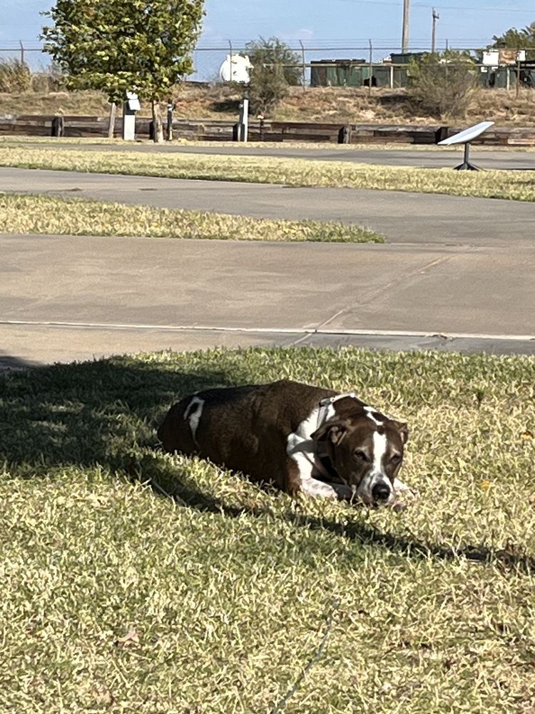 HANKS TRAIL RV PARK - Updated October 2025 - 10 Photos - 1000 E Hanks ...