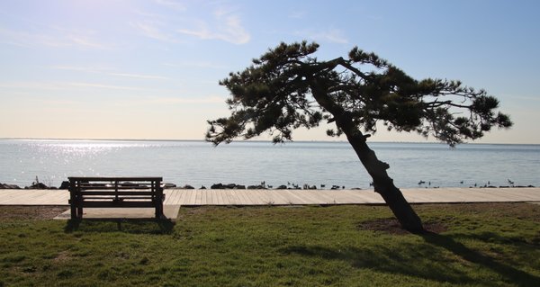 TANNER PARK - 205 Photos & 29 Reviews - Parks - Tanner Park, Copiague ...