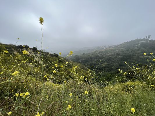 WILACRE PARK - Updated December 2024 - 430 Photos & 177 Reviews - 3431 ...