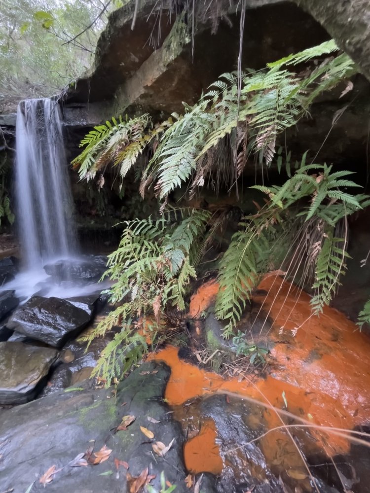 BRISBANE WATER NATIONAL PARK - Updated July 2024 - 12 Photos - Woy Woy ...