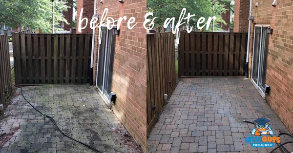 WISEGUYS PRO-WASH - Updated January 2026 - 38 Photos & 39 Real Reviews ...