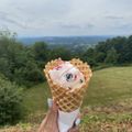 BELLVALE FARMS CREAMERY - 496 Photos & 425 Reviews - 1390 NY-17A ...