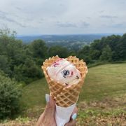 BELLVALE FARMS CREAMERY - 496 Photos & 425 Reviews - 1390 NY-17A ...