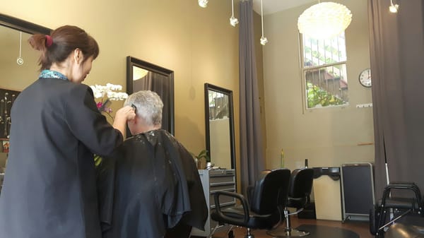 LISA’S HAIR DESIGN - Updated April 2026 - 14 Photos & 197 Reviews - 421 ...