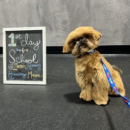 Zoom Room Reviews | Read Customer Service Reviews of zoomroom.com