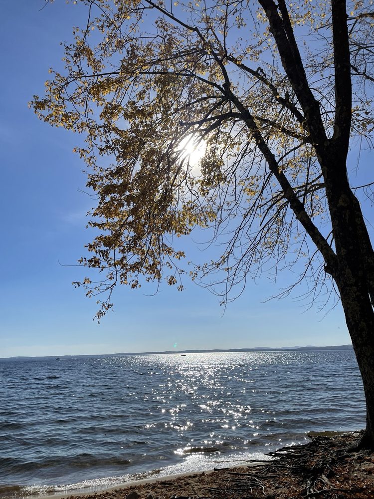 SEBAGO LAKE STATE PARK - Updated July 2025 - 85 Photos & 39 Reviews ...