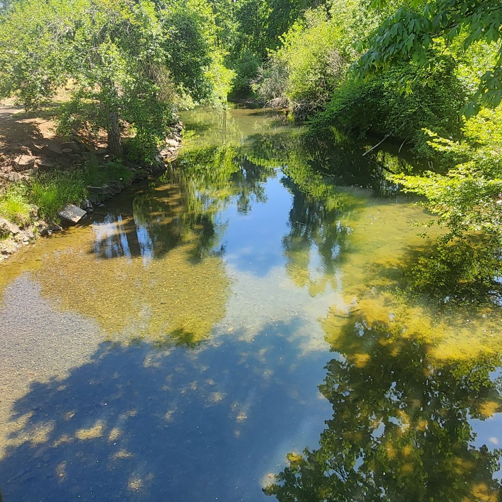 DALLAS CITY PARK - Updated September 2024 - 11 Photos & 14 Reviews ...