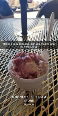 MOONEY’S ICE CREAM STORE - 22 Photos & 39 Reviews - 5716 State St, Saginaw, Michigan - Ice Cream ...