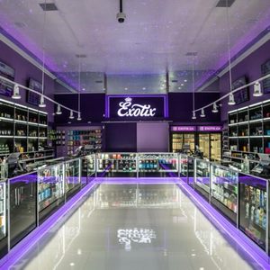 MAGICFLY - Updated December 2025 - 18 Photos - Los Angeles, California ...