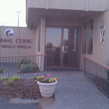 ANIMAL CLINIC OF WALLA WALLA - Updated April 2026 - 11 Reviews - 2089 ...