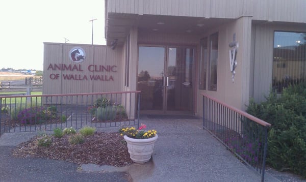 ANIMAL CLINIC OF WALLA WALLA - Updated April 2026 - 11 Reviews - 2089 ...