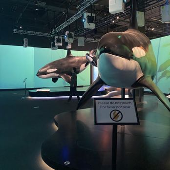 OREGON MUSEUM OF SCIENCE AND INDUSTRY - 1449 Photos & 602 Reviews ...