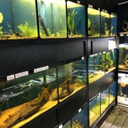 THE REEF AQUARIUM SHOP - 115 Photos & 61 Reviews - 5613 N Keystone Ave ...