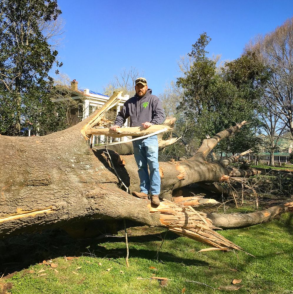 C&C TREE WORKS - Request a Quote - Mount Pleasant, Tennessee - Tree ...