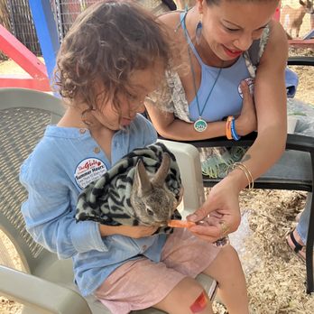 THE GIRLS STRAWBERRY U-PICK - Updated November 2024 - 966 Photos & 236 ...