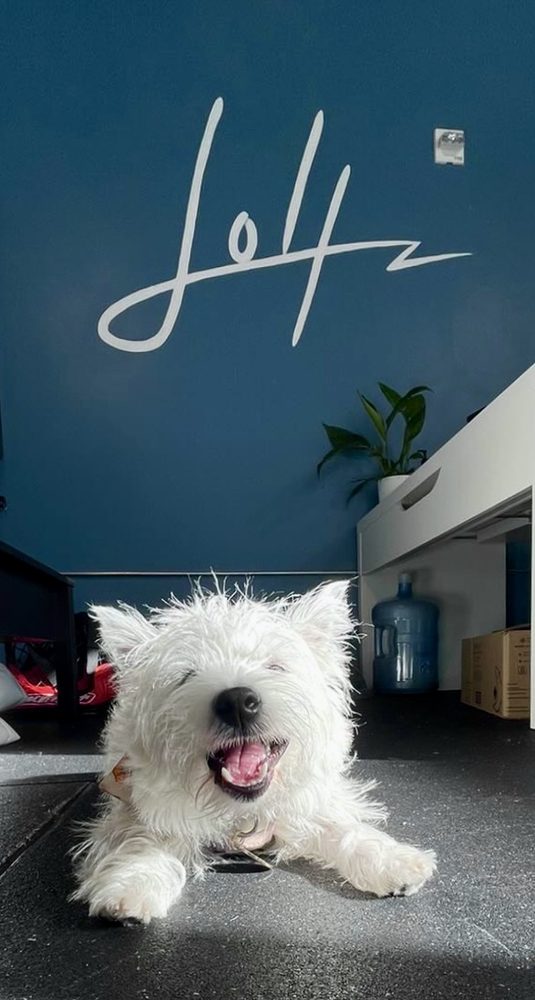 JOLT STUDIO GYM - Request Consultation - 839 Bryant St, San Francisco, CA - Yelp