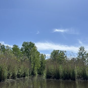 GULF COAST GATOR RANCH & TOURS - Updated December 2025 - 241 Photos ...