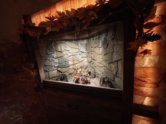 TRANQUILITY FOOT SPA & SALT CAVE - Updated July 2024 - 60 Photos & 111 ...