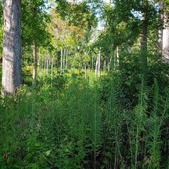 RUSS NATURE PRESERVE - Updated December 2025 - 22 Photos - 2380 Kemp Rd ...
